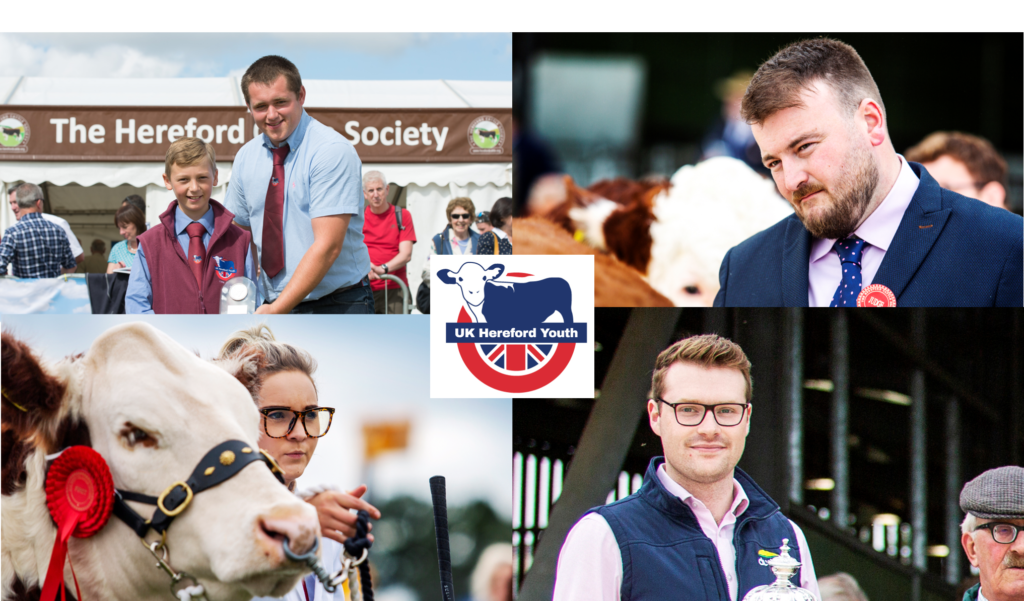 Team announced for NZ young breeders competition - Hereford Cattle Society