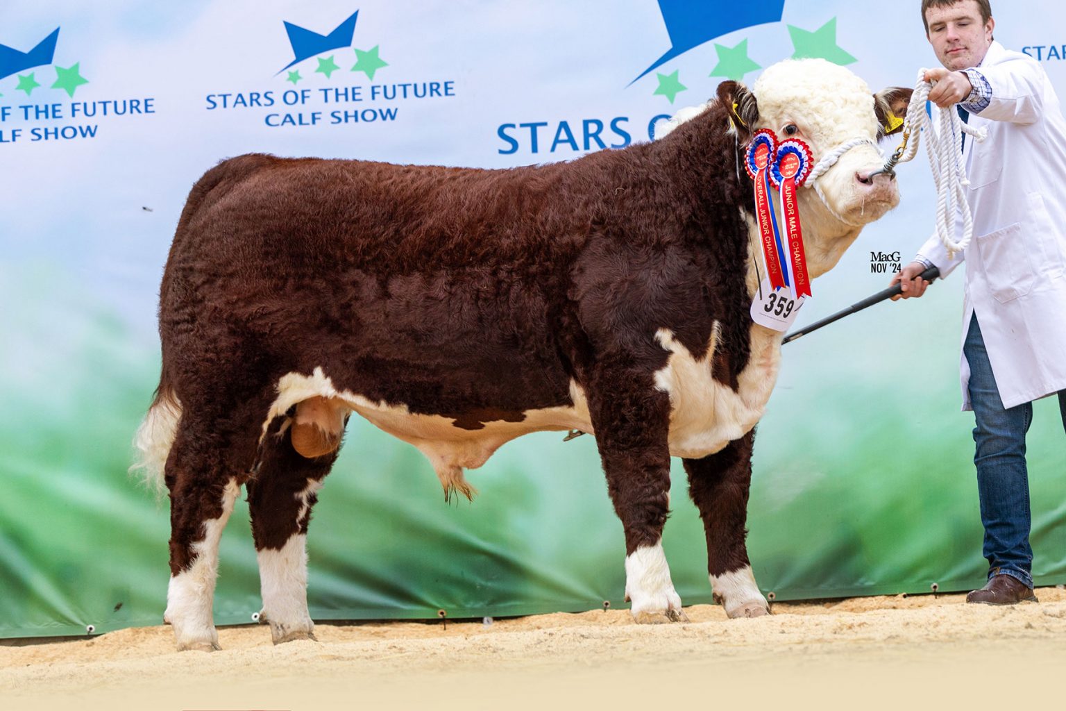 Scottish Stars of the Future - Hereford Cattle Society